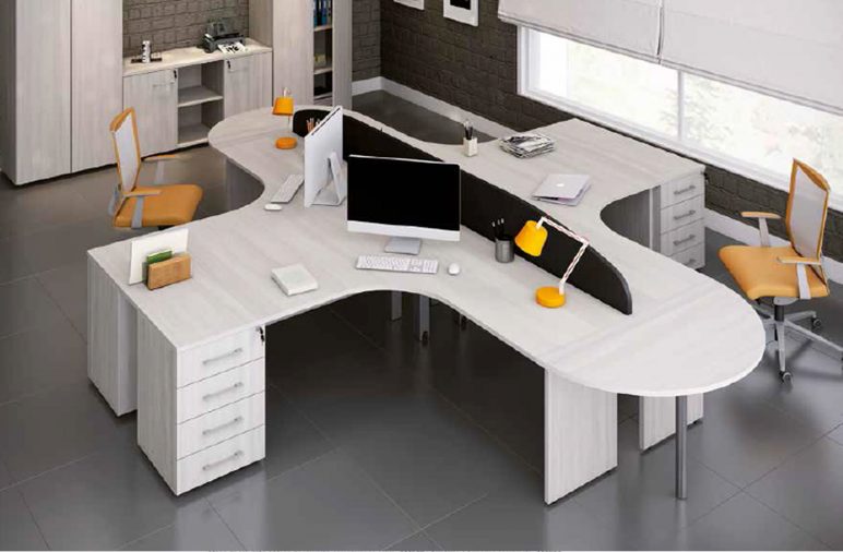 El trabajo en equipo es la fortaleza de la empresa